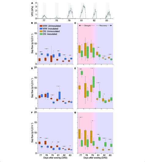 Synthetic Community Syncom Inoculation Affects The Sap Flow Of Download Scientific Diagram