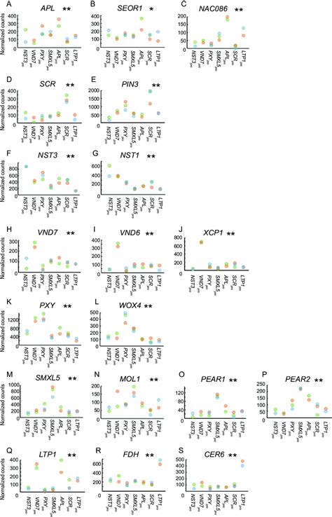 Comparison Of Transcriptome Datasets From Seven Stem Tissues Derived Download Scientific