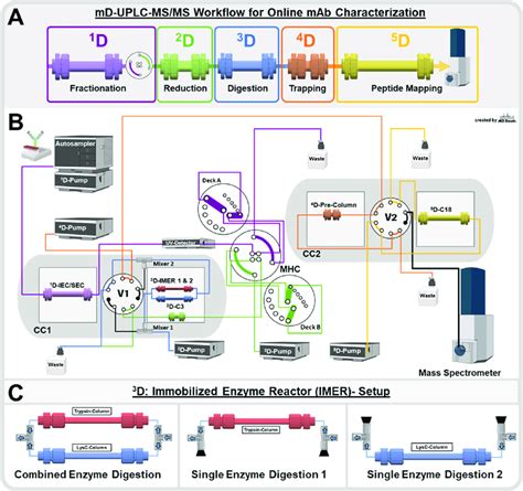 Md Uplc Ms Ms System Setup A Schematic Illustration Of 54 Off