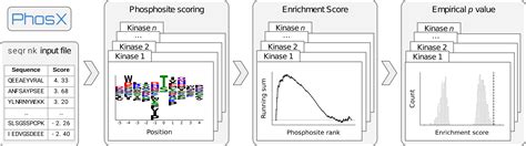 Github Alussanaphosx Kinase Activity Inference From