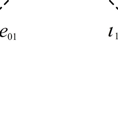 the unique 2 tree and the corresponding assignment of operators for