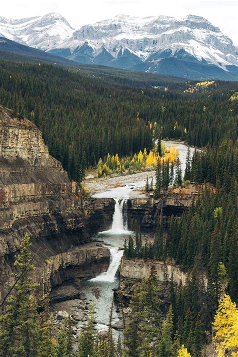 Canadian Border Forest
