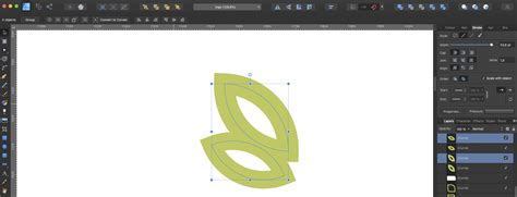 Expand Stroke Bugs V1 Bugs Found On Macos Affinity Forum