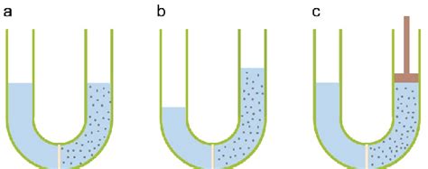 Osmosis Diagram Quizlet