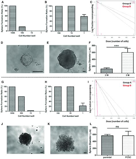 Pcscs Have Self Renewal Potential In Vitro A Sphere Formation Assay