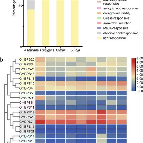 Analysis Of Promoter Cis Regulatory Element In Four Species And Download Scientific Diagram