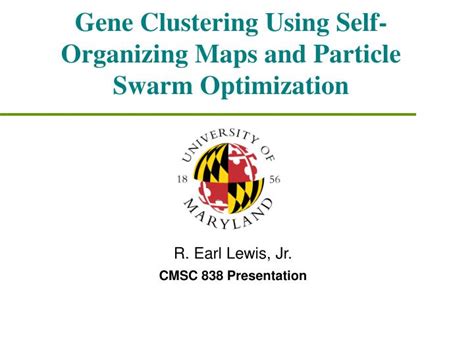 ppt gene clustering using self organizing maps and particle swarm