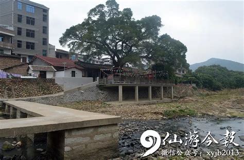 大济明代古建筑掩映在600余年大榕树下门前溪水潺潺好一个美丽的乡村公园