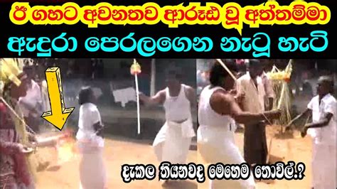 ආරූඪ වූ ආච්චිගේ අධිවේගී නැටුම Youtube