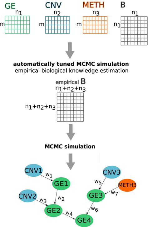 intomics framework intomics framework takes as input i gene download scientific diagram