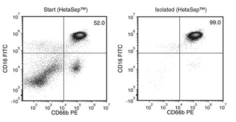 Easysep™ Human Neutrophil Isolation Kit产品中心君合天晟