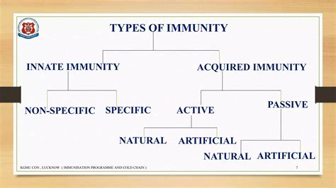 Immunisation Pptx Infectious Diseases Diseases And Conditions