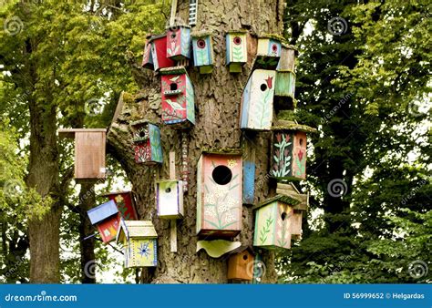 Nesting Boxes Stock Photo Image Of Colorful Colors 56999652