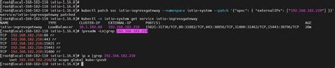 【云原生】kubernetes（k8s）istio gateway 介绍与实战操作 csdn博客