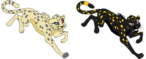 Cheetah Cub Base Psd And Png By Maishabases On Deviantart