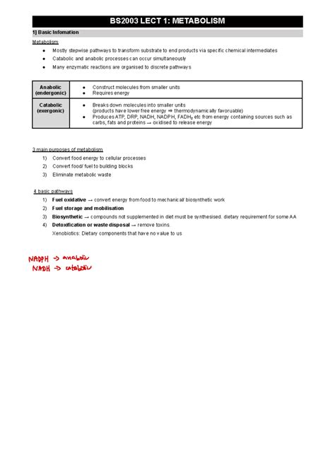 bs2003 lect 1 notes metabolism bs 2003 lect 1 metabolism 1] basic