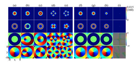 Bose Einstein Condensate Topology Manipulating Density And Spin With Interactions