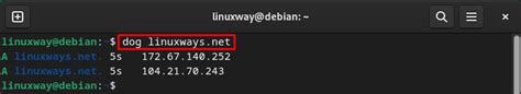 How To Install And Use Dig On Debian 12 Linuxways