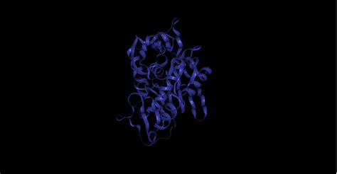 Interactive D Visualization Of Molecular Structures NGLVieweR