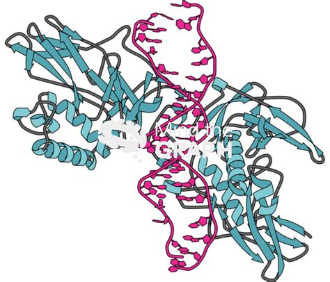 Free Denosumab Structure Icons Symbols Pictures And Images Mind