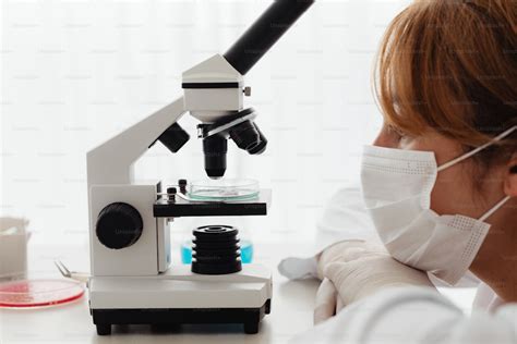 많은 물건이 담긴 페트리 접시를 들고 있는 사람 사진 Unsplash의 과학자 이미지