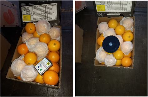 Cartons Where Cellular Loggers Were Inserted On The Left Is The Download Scientific Diagram