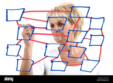 Woman Drawing A Mind Map Stock Photo Alamy