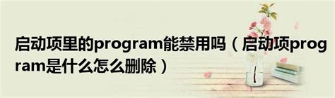 启动项里的program能禁用吗启动项program是什么怎么删除 新讯网