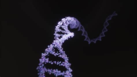 使用 Dask 加速 Gpu 集群上的 Xgboost Nvidia 技术博客