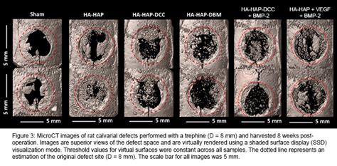 Frontiers Colloidal Extracellular Matrix Gels For Filling And
