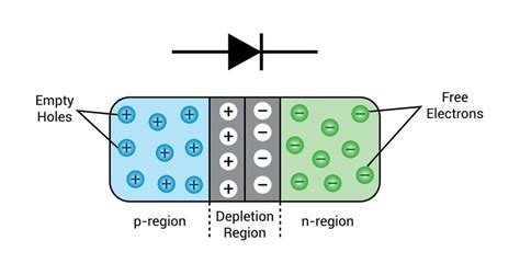 Diode Anode Cathode Unlocking The Power Of Semiconductor Junctions