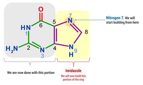 Guanine Molecule Duluth Labs
