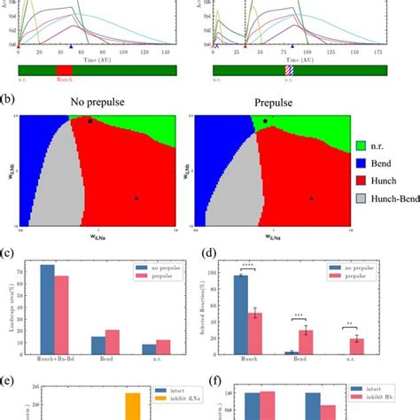 Reproduction Of The Behavioural Experiment Using The Neural Circuit