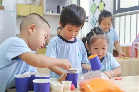 官宣！大鵬新區明年將新增4所公辦園 每日頭條