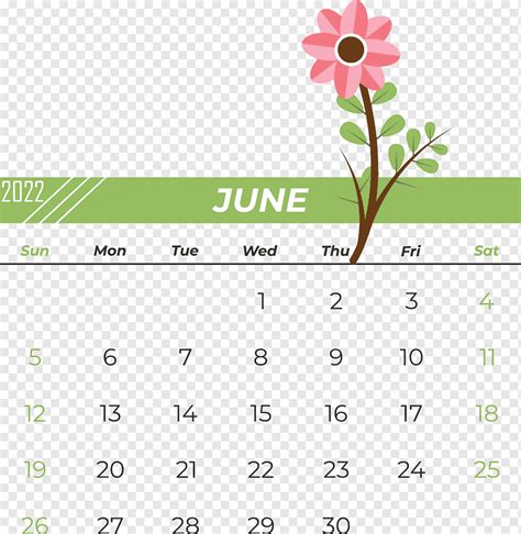 календарь 2022 июнь Png Pngwing