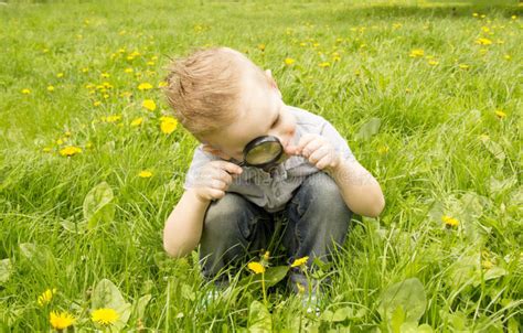 放大镜高清图片 男孩透过放大镜在草地上看 男孩透过放大镜在草地上看图片免费下载 5117185640 千图网pro