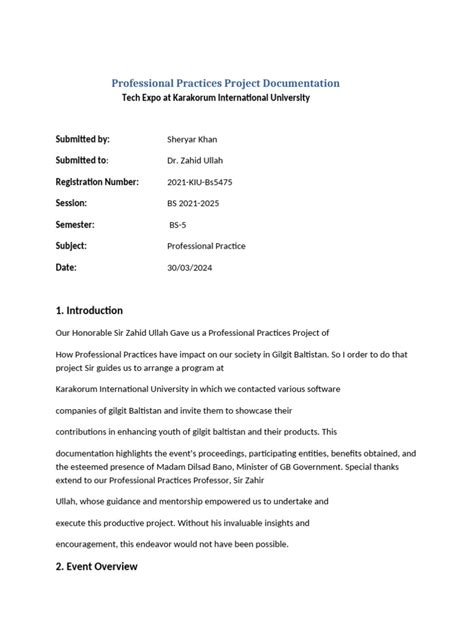 Professional Practices Project Documentation Pdf