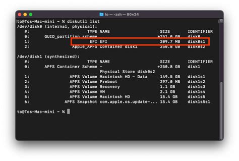 How To Mount Efi Partition On Macos Monterey Manually Manjaro Dot Site