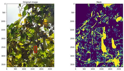Image Processing With Python Image Segmentation Using Rg Chromaticity