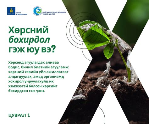 Хөрсний бохирдол Сүхбаатар дүүргийн Эрүүл мэндийн төв