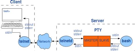 Using Pseudo Terminals To Control Interactive Programs Pty Pdip