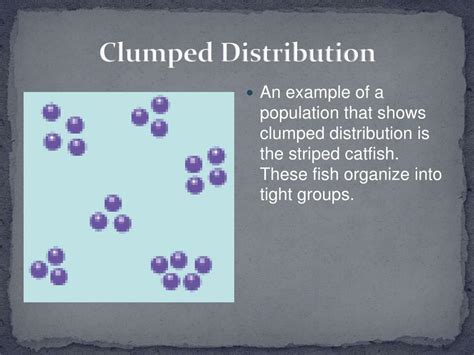 Ppt Population Growth Chapter 20 Powerpoint Presentation Free Download Id 2700791
