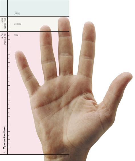 Penguin Ambidextrous Mouse