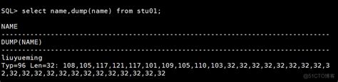 Oracle数据类型char与varchar的对比51cto博客oracle Char和varchar2的区别