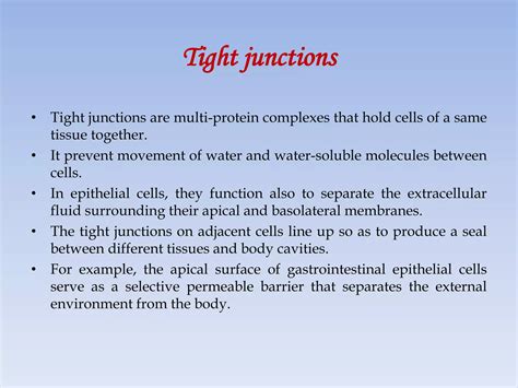Cell Cell Interaction Pptx