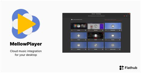 Install Mellowplayer On Linux Flathub