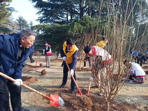 青岛市委统战部联合市南区委统战部开展义务植树活动 青报网 青岛日报官网
