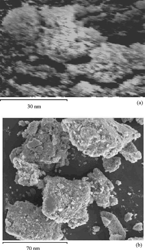Scanning Electron Micrographs SEM A Free TiO 2 Particles And B Download Scientific