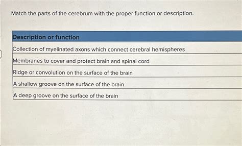 Solved Match The Parts Of The Cerebrum With The Proper Chegg