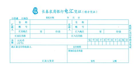 汇款单0001 长春农商银行电汇凭证